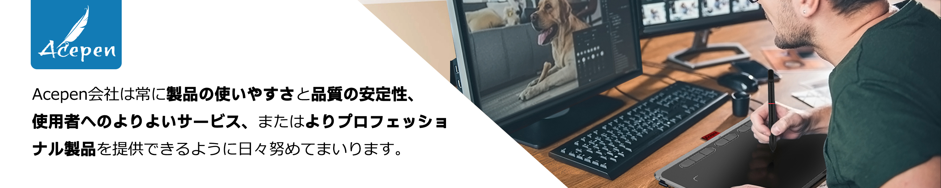 Amazon.co.jp: Acepen