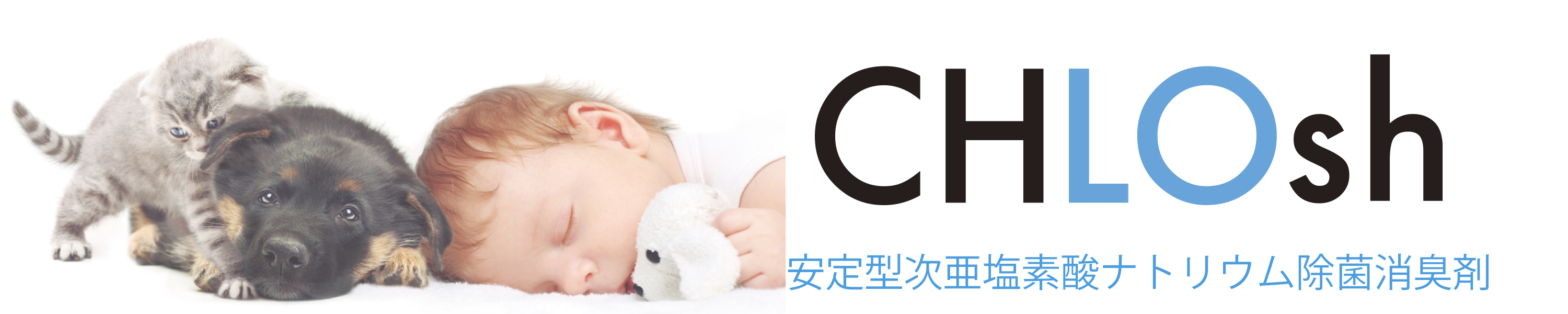 Amazon.co.jp: CHLOsh（クロッシュ）
