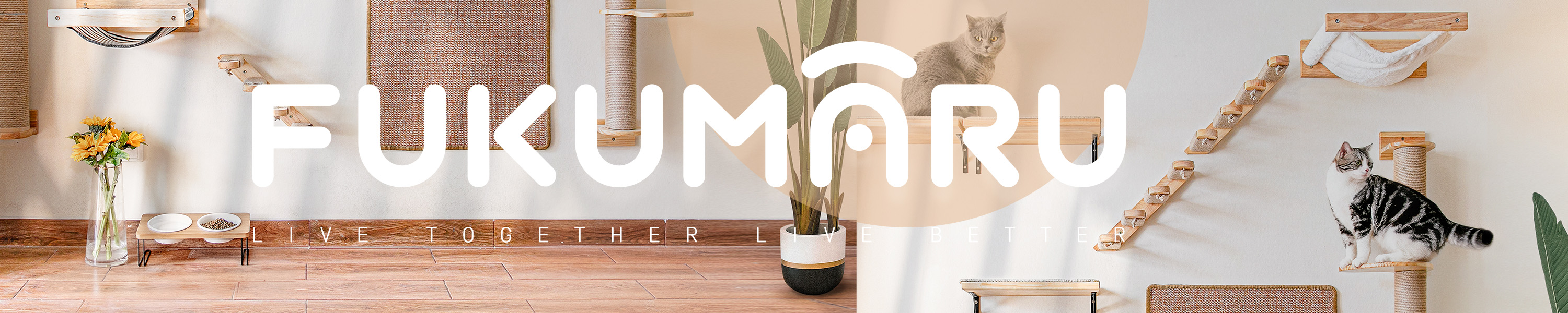 Amazon.co.jp: FUKUMARU