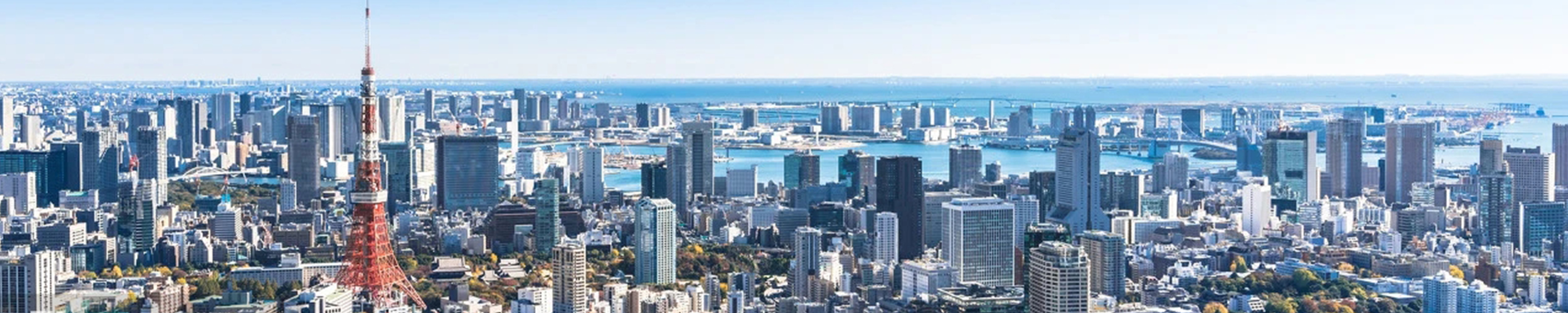 Amazon.co.jp: Lubardy: Backpacks