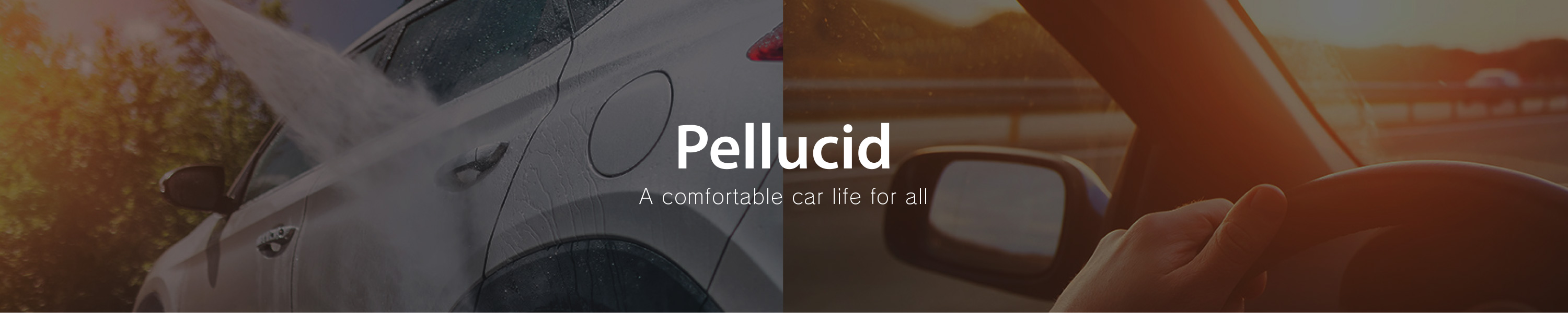 Amazon.co.jp: Pellucid