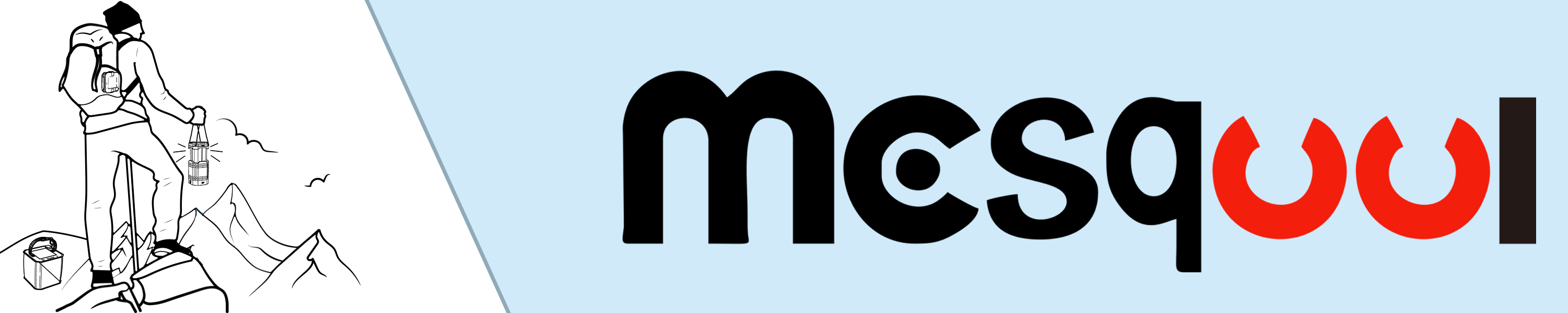 Amazon.co.jp: Mesqool: キャンプライト