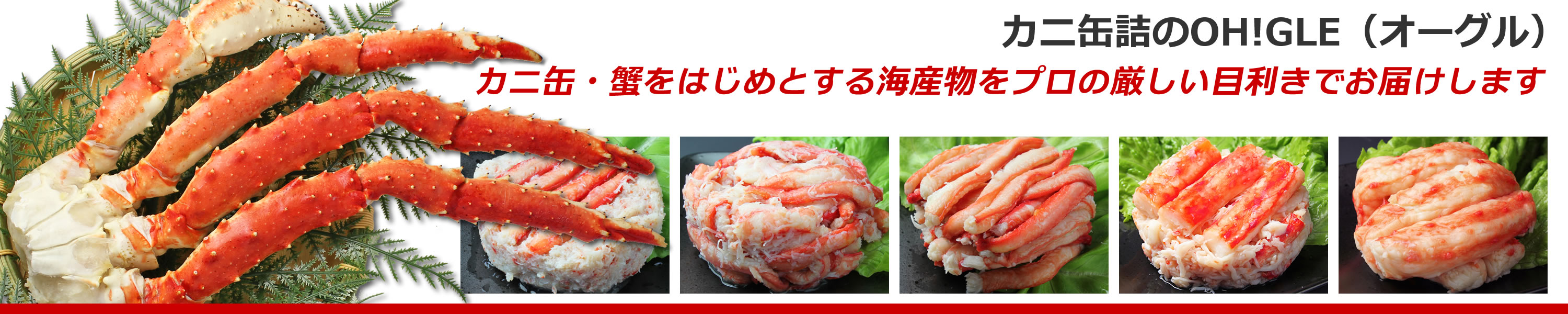 Amazon.co.jp: OH!GLE（オーグル）: ギフト特集