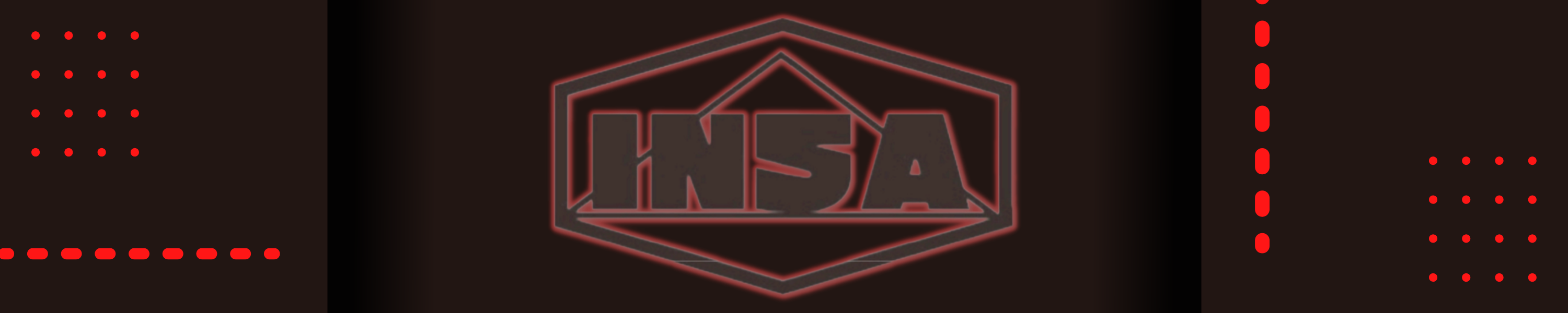 Amazon.co.jp: INSA