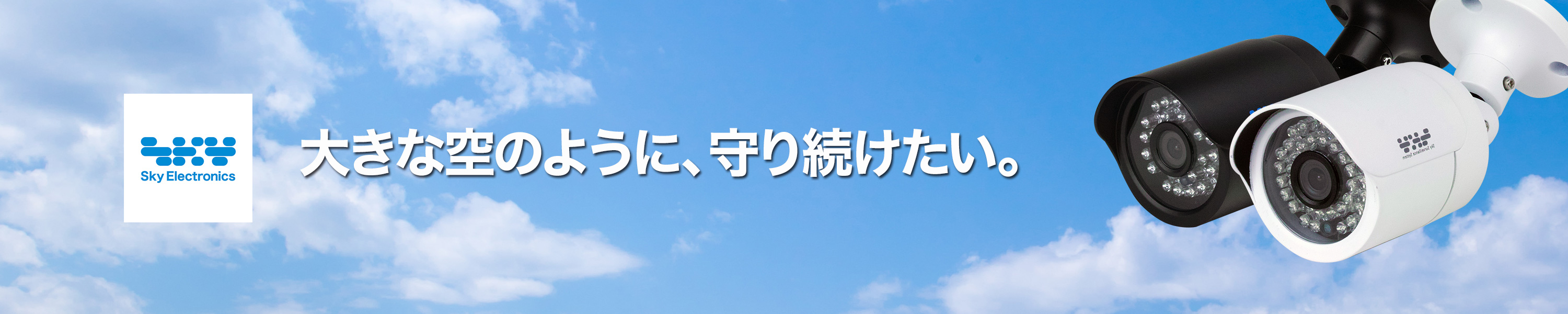Amazon.co.jp: SKY Electronics: 防犯カメラセット