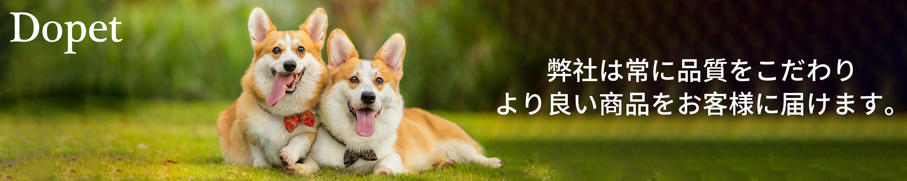Amazon.co.jp: Dopet