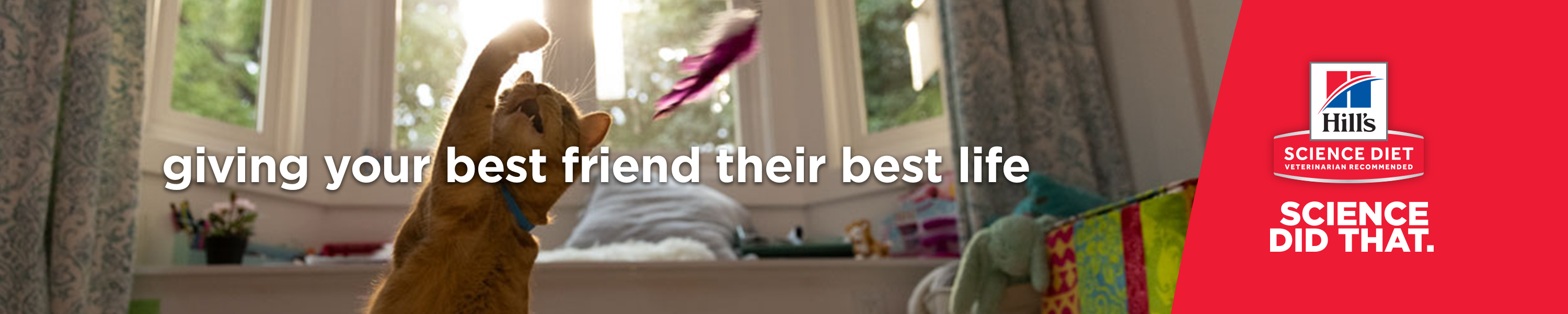 Amazon.com.au: Hill's Science Diet: Weight