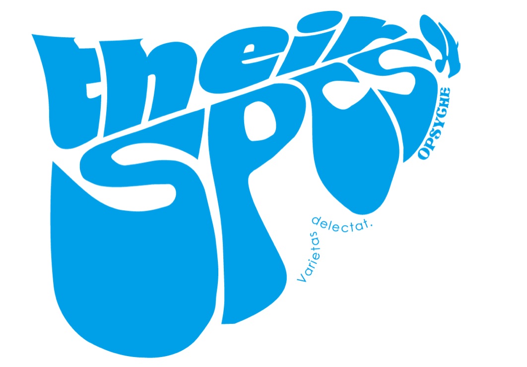 Amazon.co.jp: SPCS: SPCS Cotton6.0