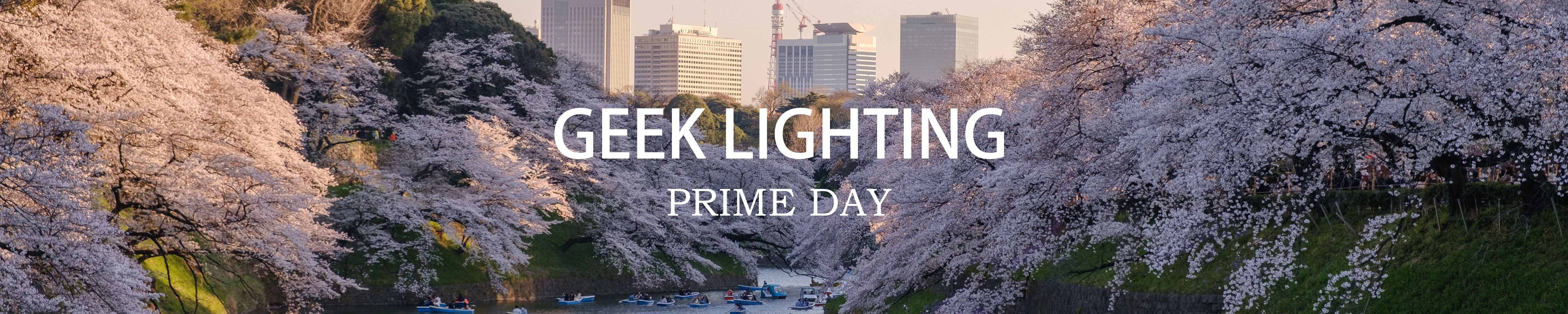 Amazon.co.jp: GEEK LIGHTING