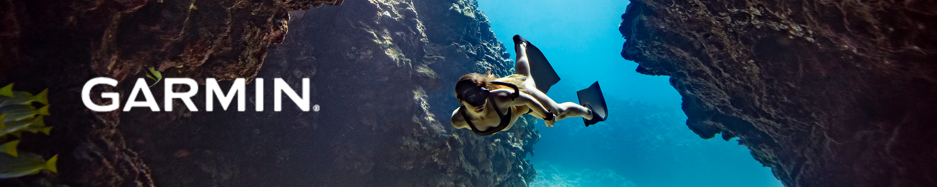 Amazon.sg: Garmin: Diving