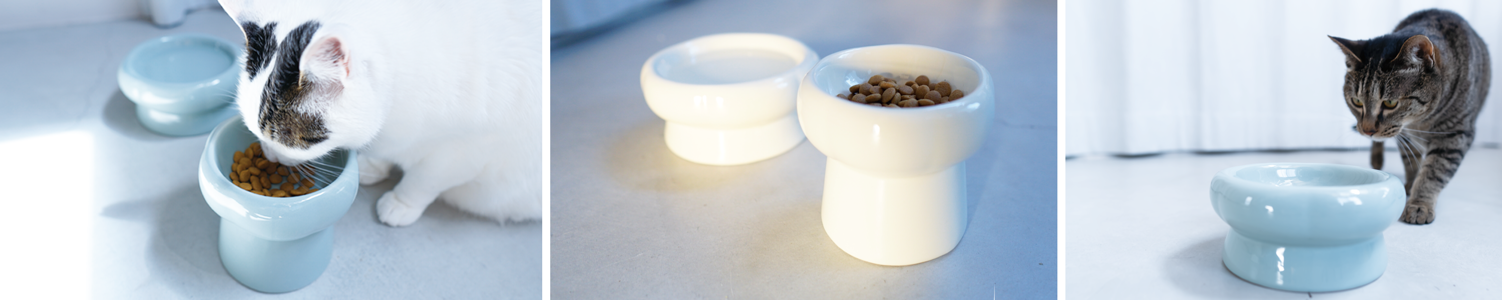 Amazon.co.jp: pk interior