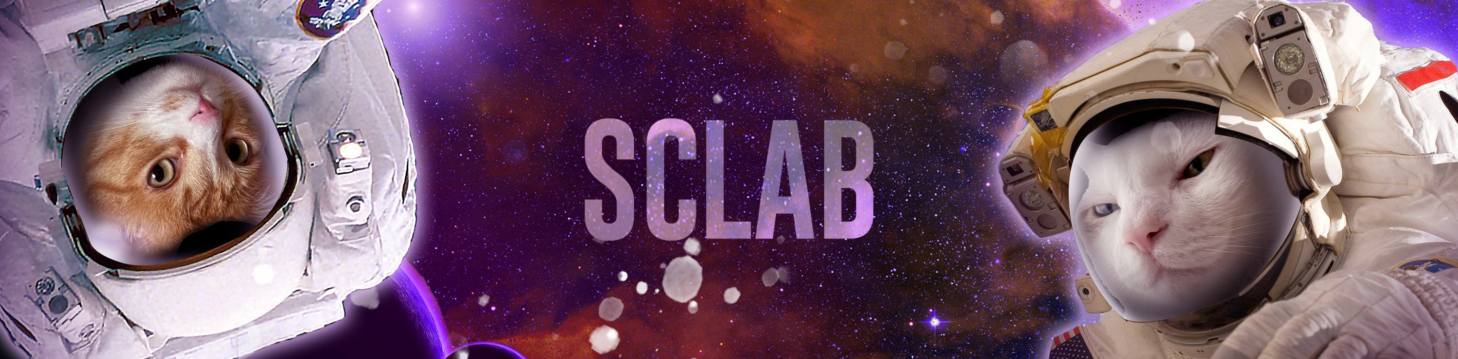 Amazon.co.jp: SPACE CAT LAB