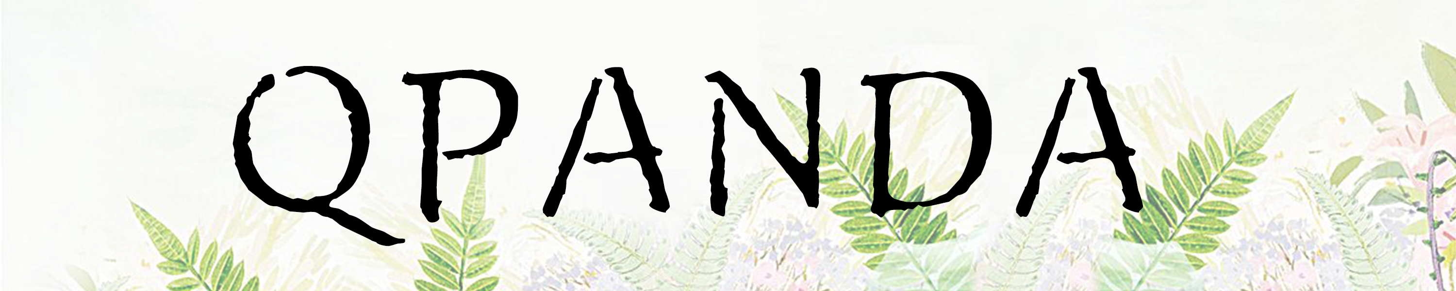 Amazon.co.jp: QPANDA