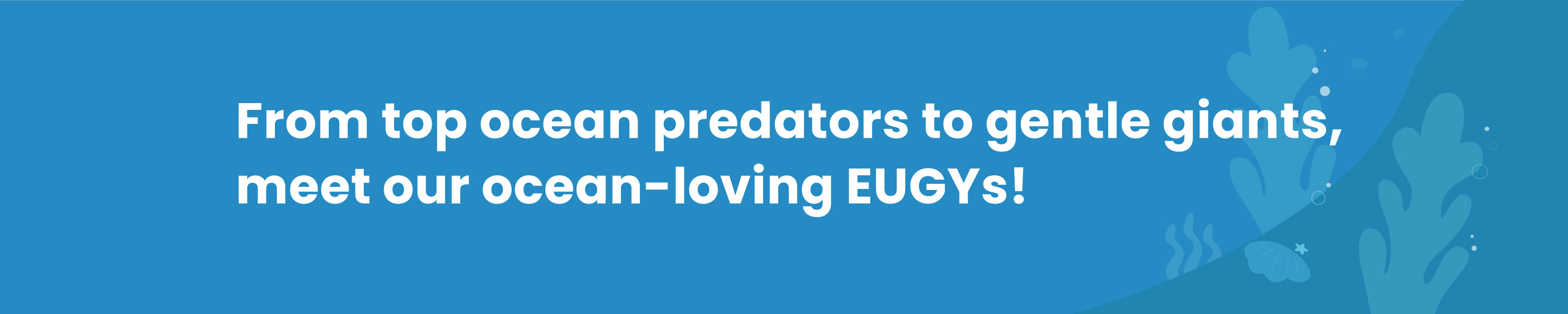 Amazon.com.au: Bring Home Your Wild, EUGY: WATER