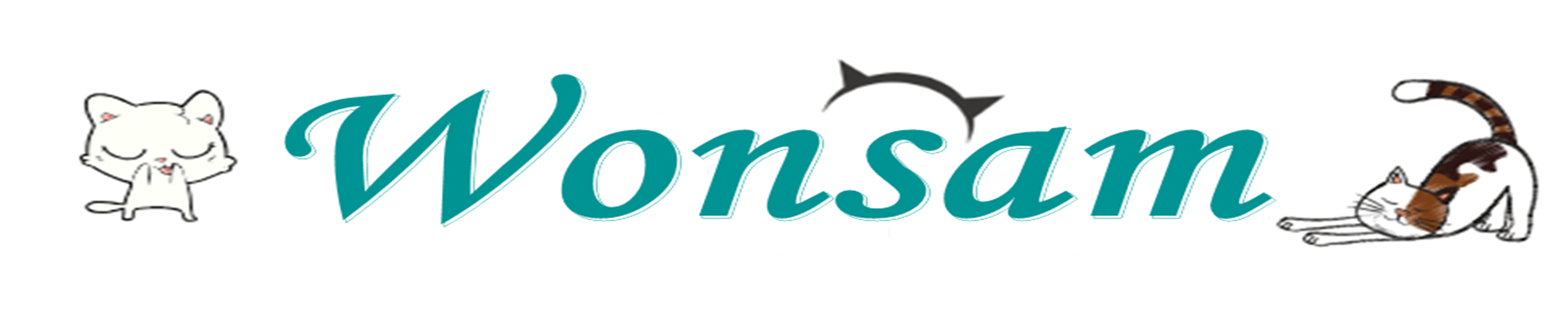 Amazon.co.jp: Wonsam
