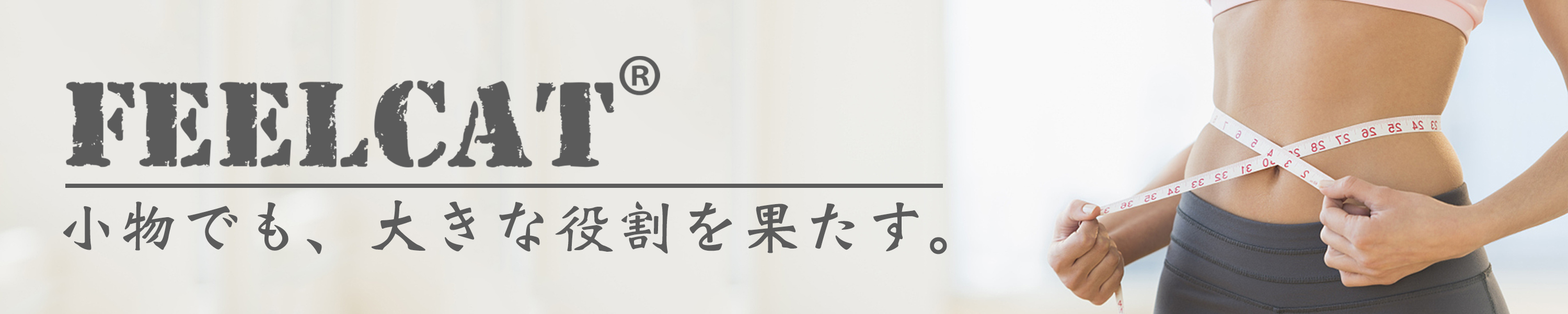 Amazon.co.jp: FEELCAT: テープメジャー