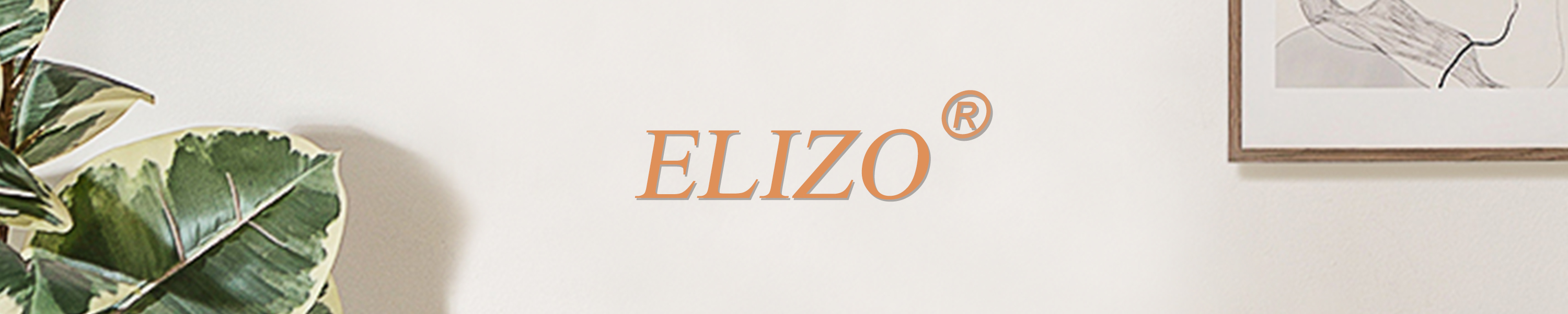 Amazon.co.jp: ELIZO: ELIZO-BOXES