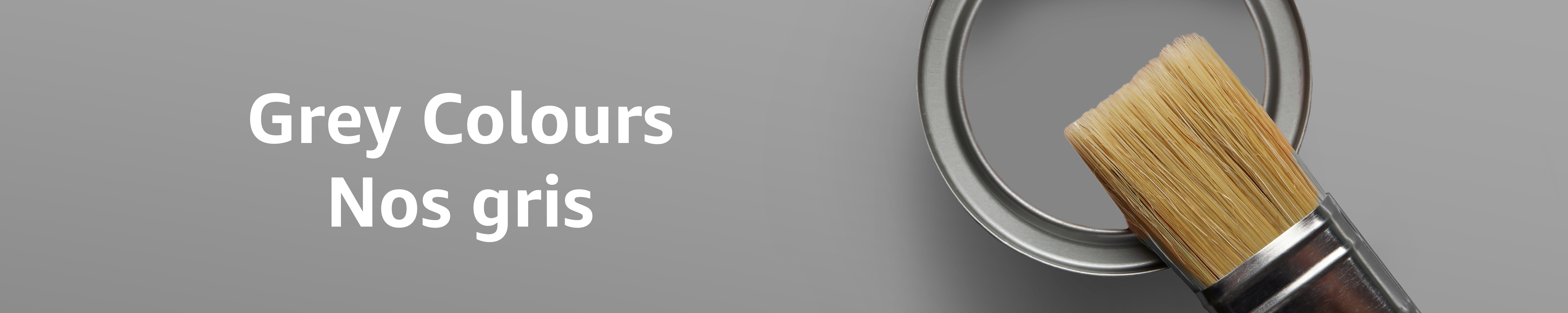 Amazon.ca: Boomerang: Grey Colour