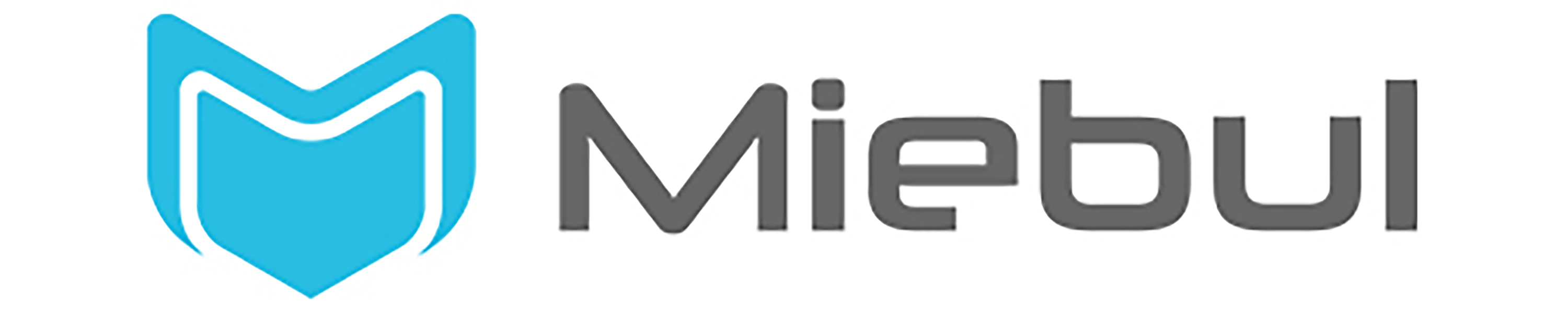 Amazon.ca: Miebul: Light Bulb Camera