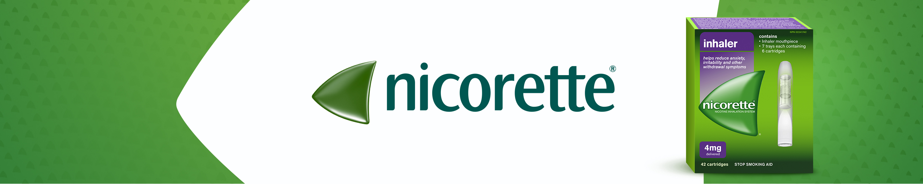 Amazon.ca: Nicorette: Inhaler