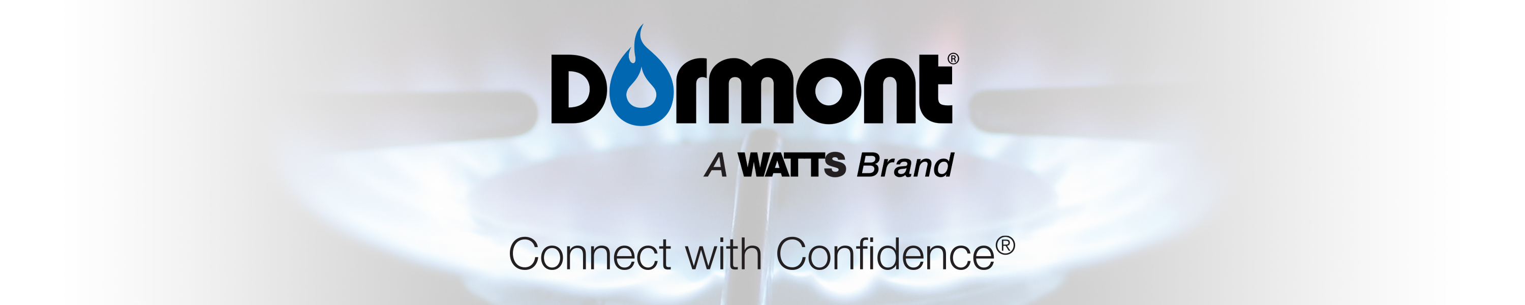 Amazon.com: Dormont: Tankless Water Heater Kits