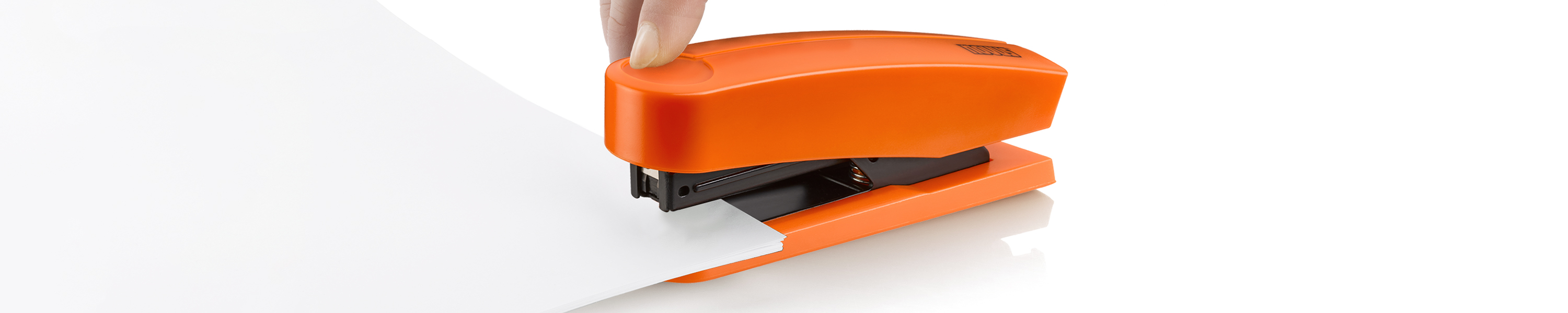 Amazon.com: novus: Compact