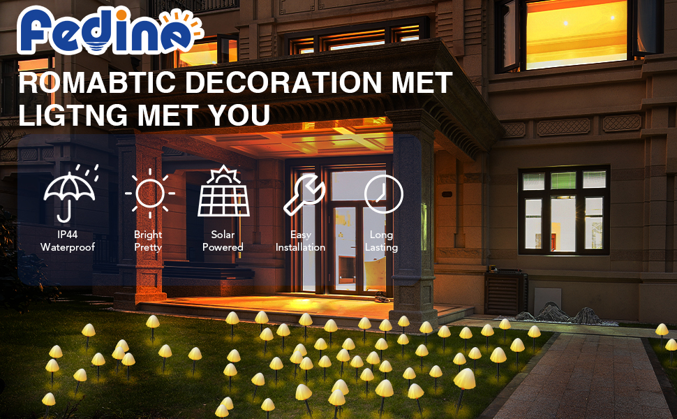 Amazon.com: Fedine: HOME