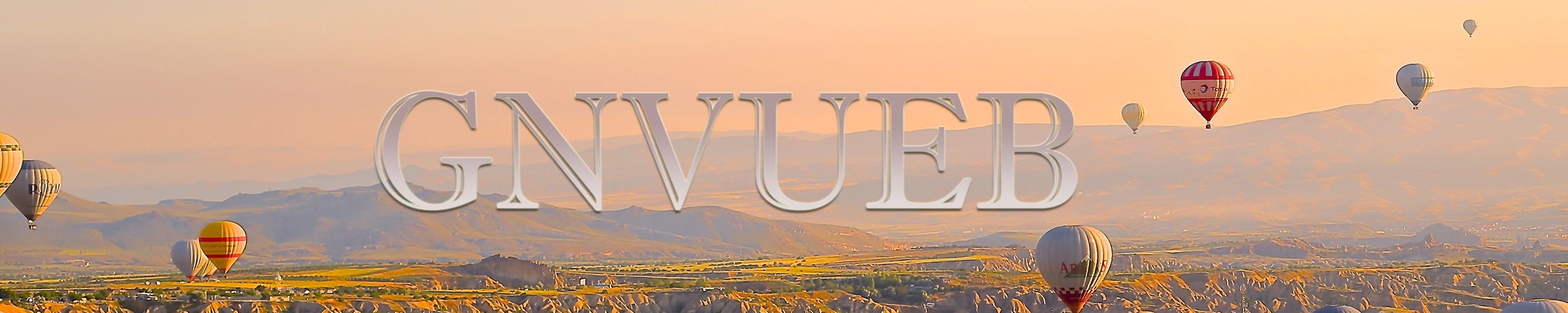 Amazon.com: Gnveub: WOMEN