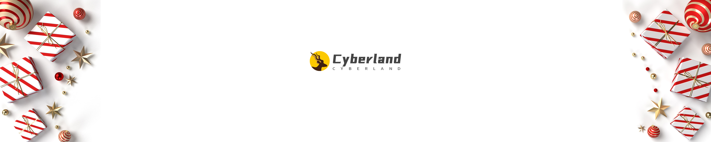 Amazon.com: Cyberland