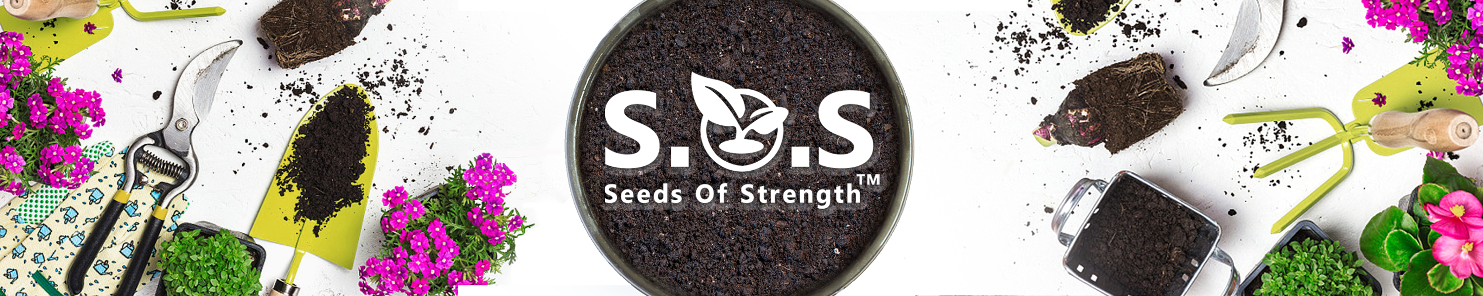 Amazon.com: seeds of strength: vegetable