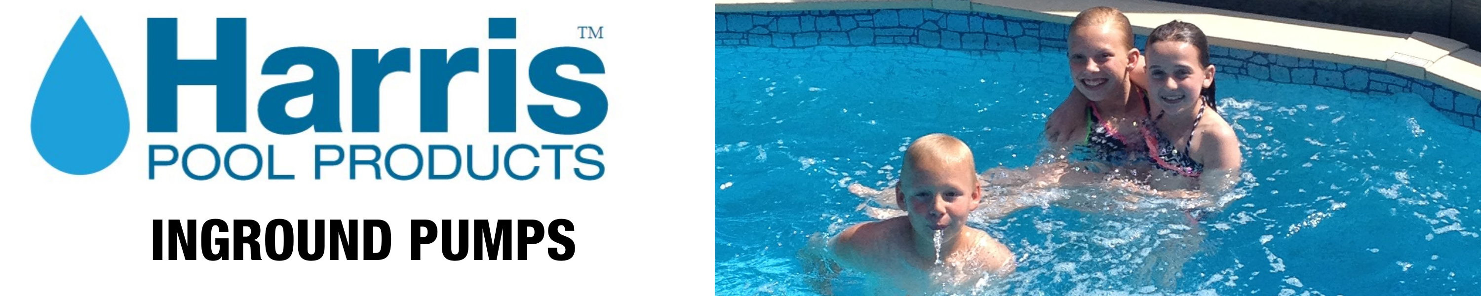 Amazon.com: Harris Pool Products: Inground Pumps