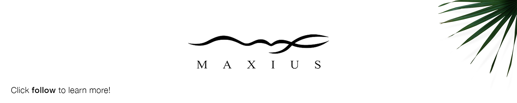 Amazon.com: maxius: Shop All