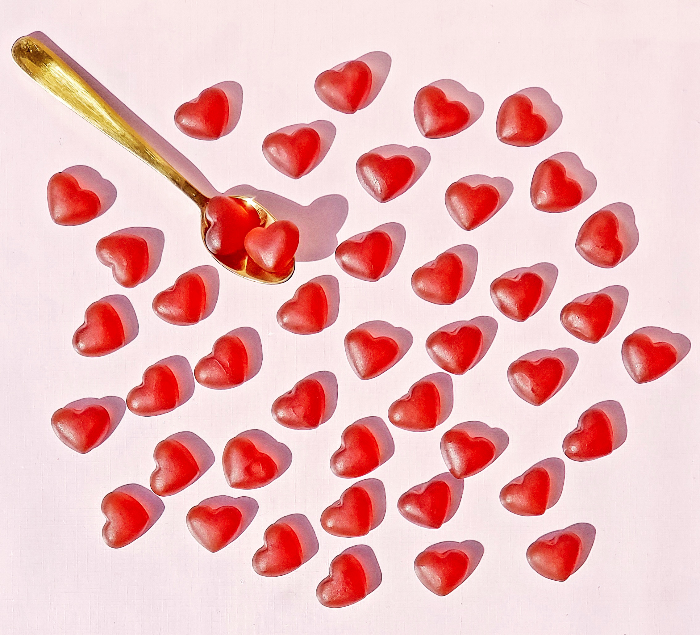 Amazon.com: Earth & Elle