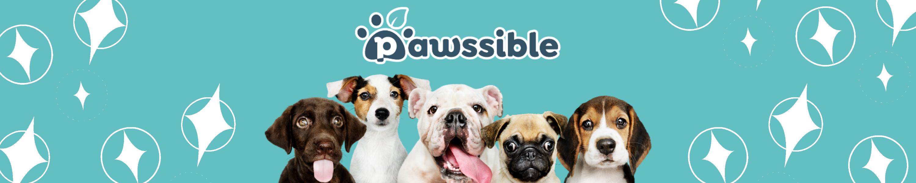 Amazon.com: Pawssible