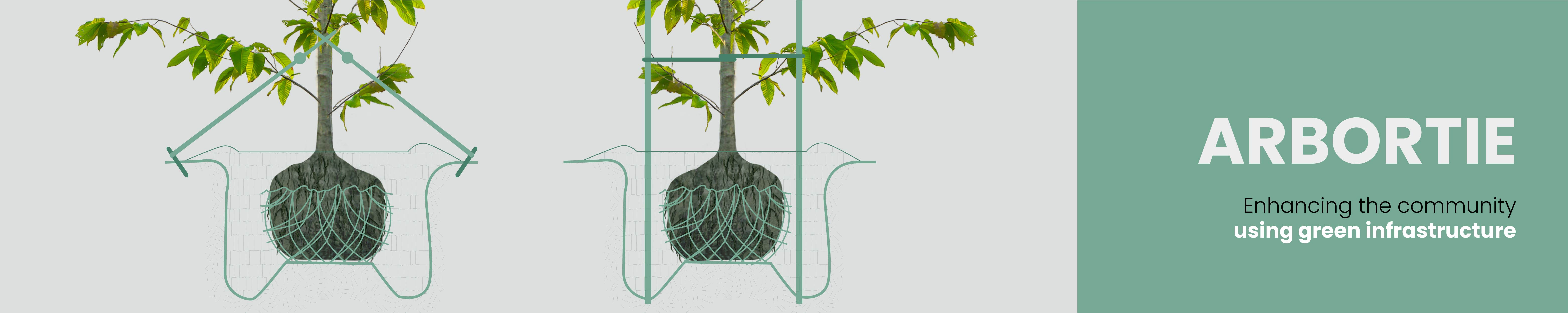 Amazon.com: Deeproot: Staking + Guying