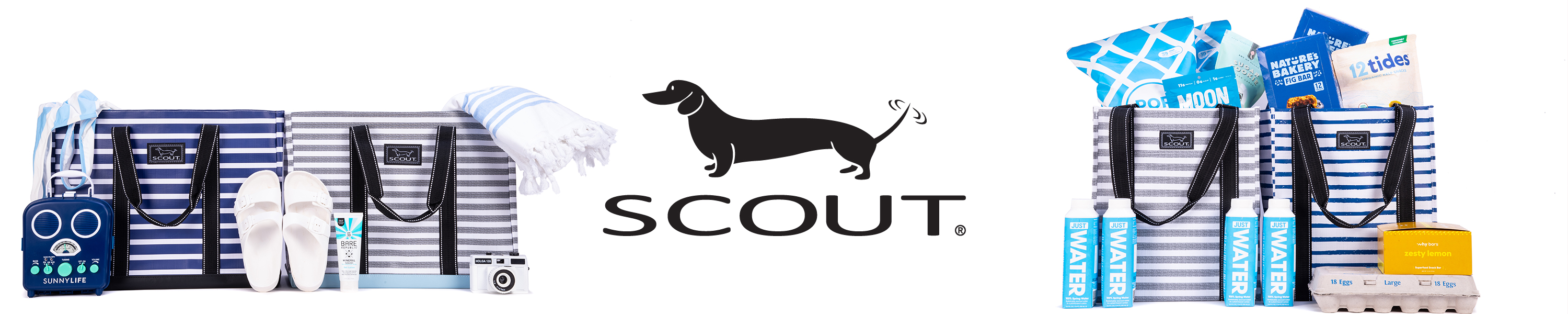 Amazon.com: SCOUT: Bags