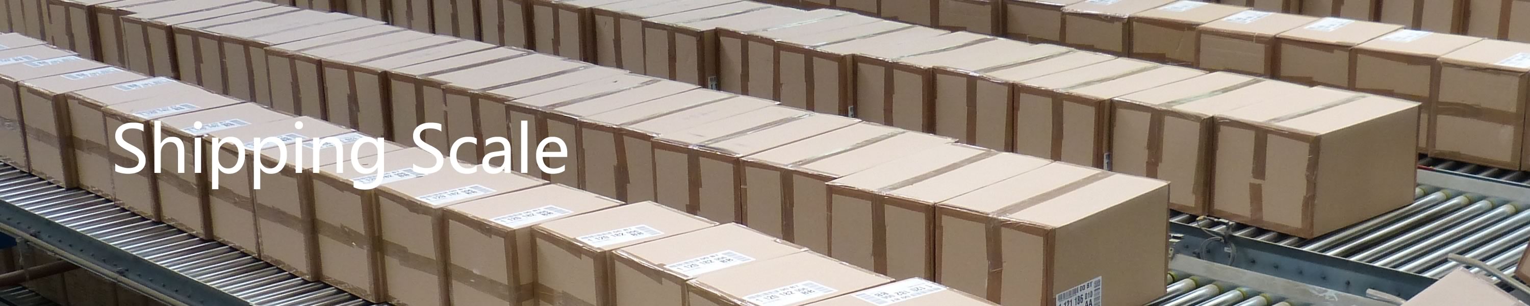 Amazon.com: Precision scale: Shipping Scale