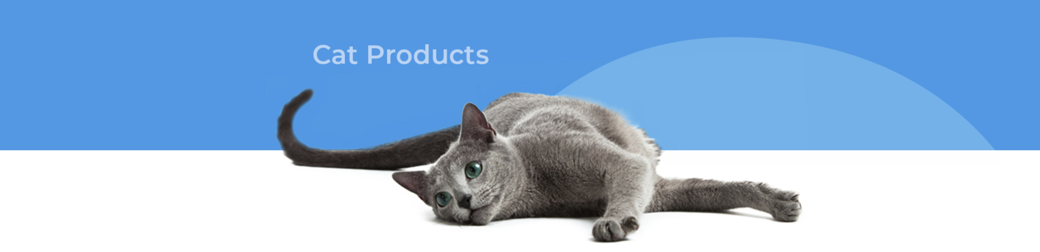 Amazon.com: Four Paws: Cat
