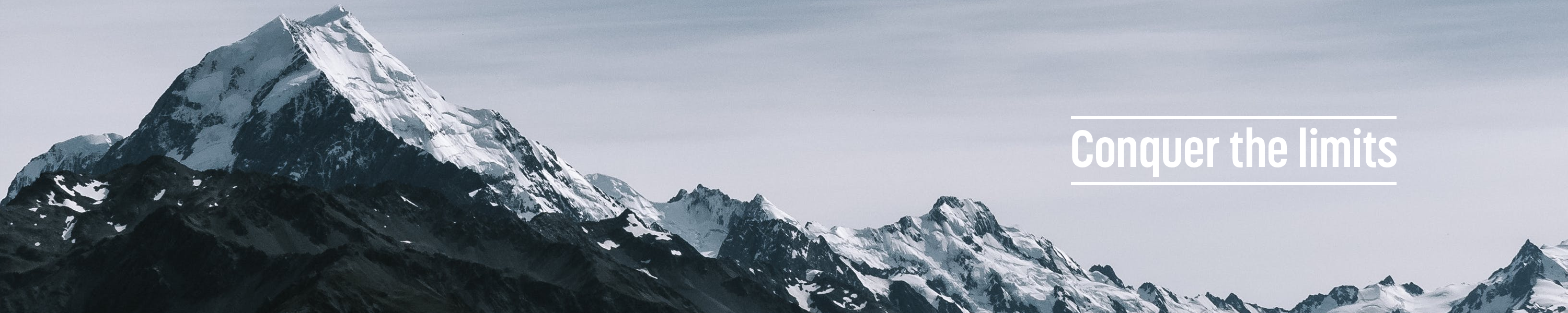 Amazon.com: Bush Edge