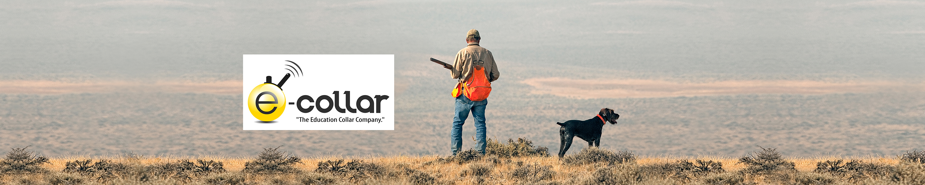 Amazon.com: E-Collar Educator: Hunting Dog Remote Trainers