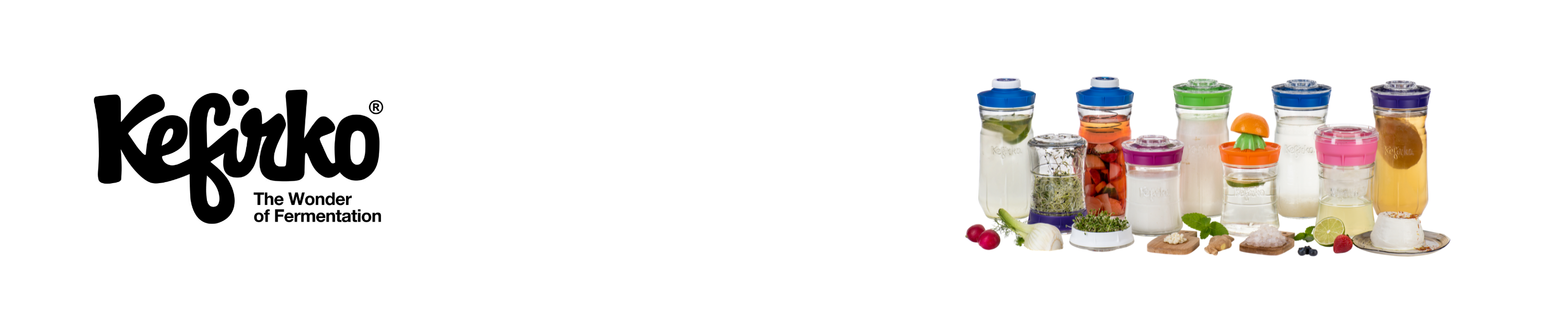 Amazon.com: Kefirko: Cheese Making Kit