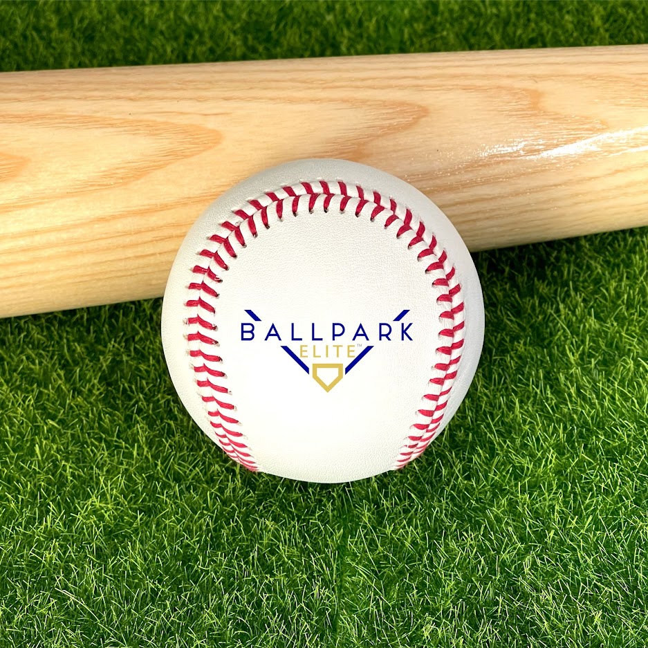 Amazon.com: Ballpark Elite: Blank Leather Baseball