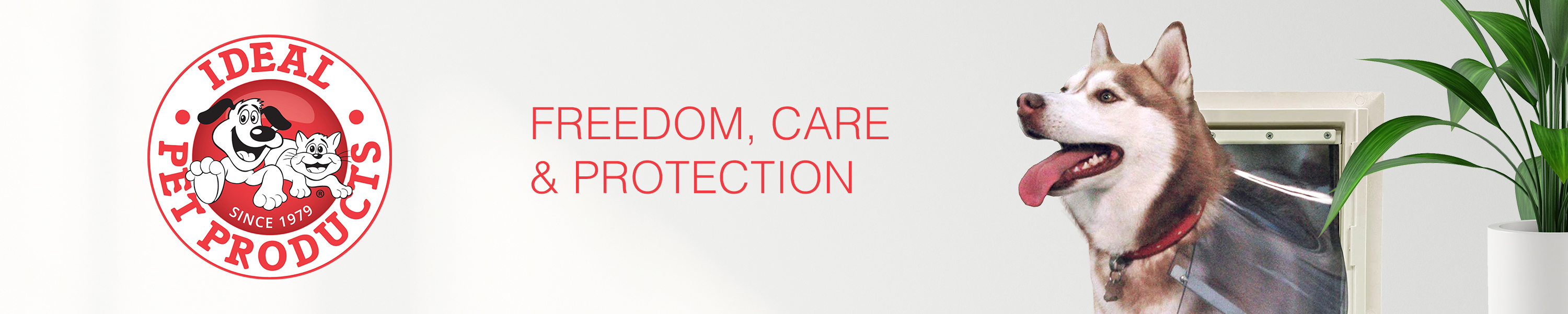 Amazon.com: Ideal Pet Products