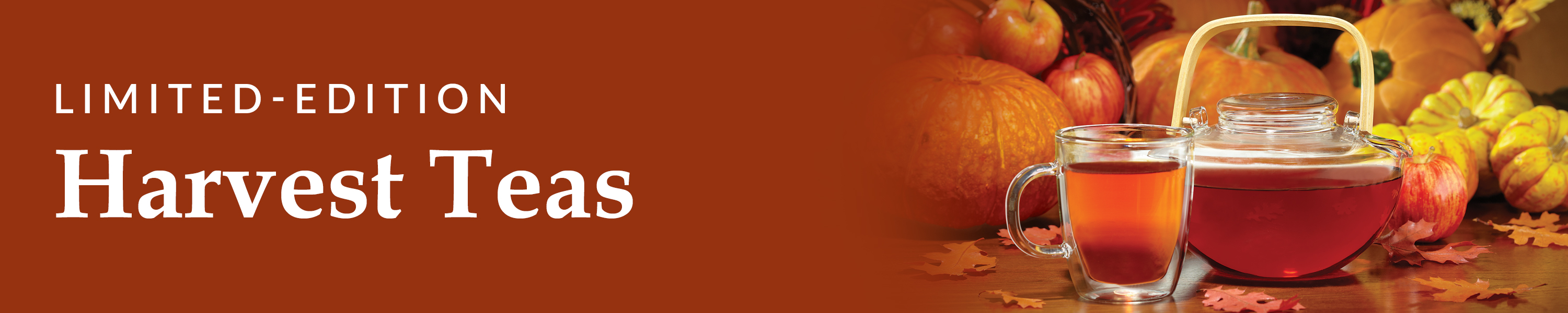 Amazon.com: The Republic of Tea: Fall Seasonal Teas