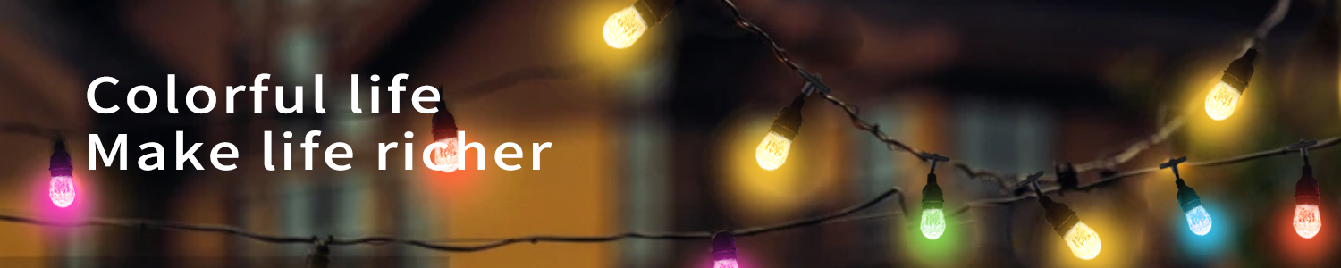 Amazon.com: Homevenus: Smart String Lights