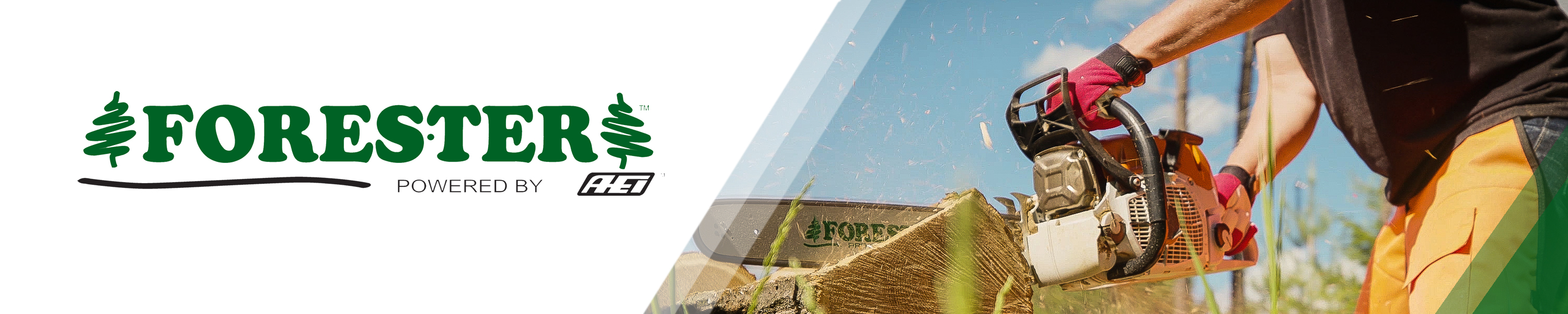 Amazon.com: Forester