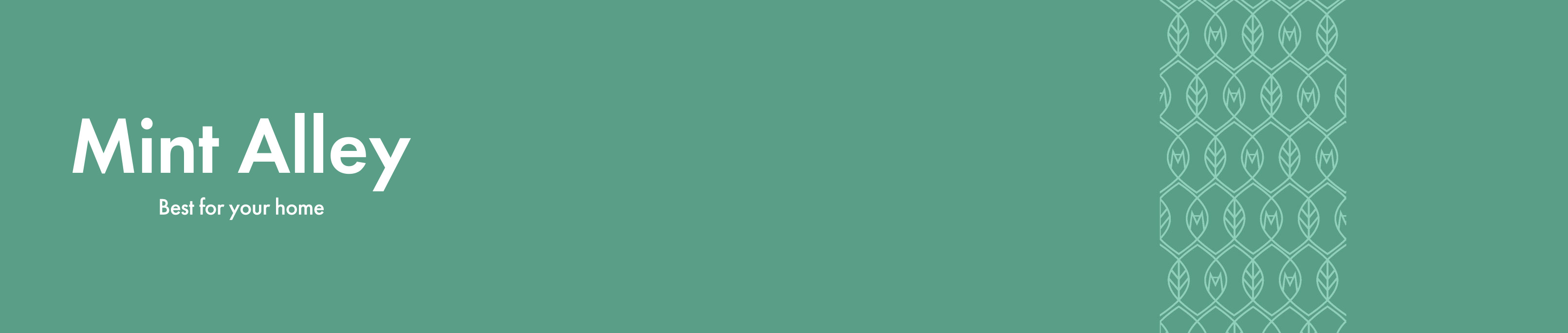 Amazon.com: Mint Alley