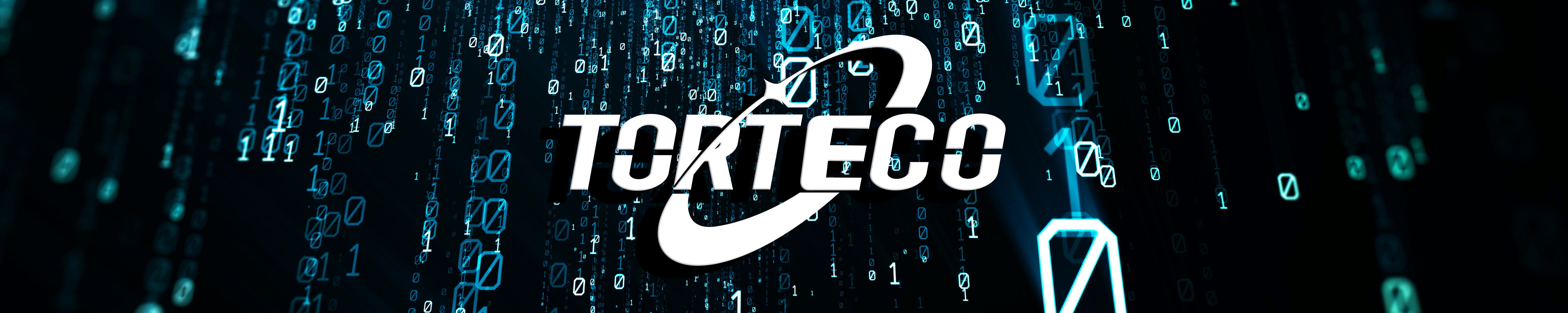 Amazon.com: Torteco: Bluetooth Headphones