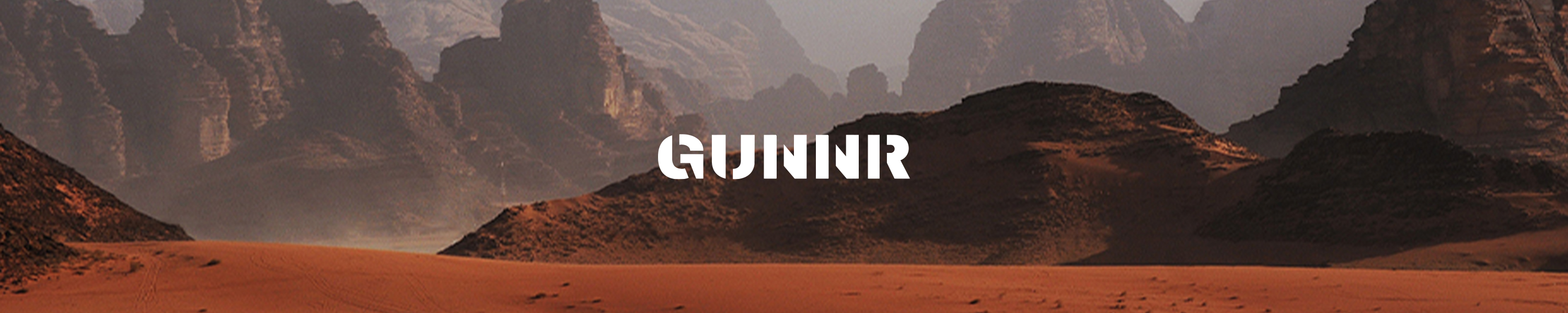 Amazon.com: GUNNR: MAGNIFIER