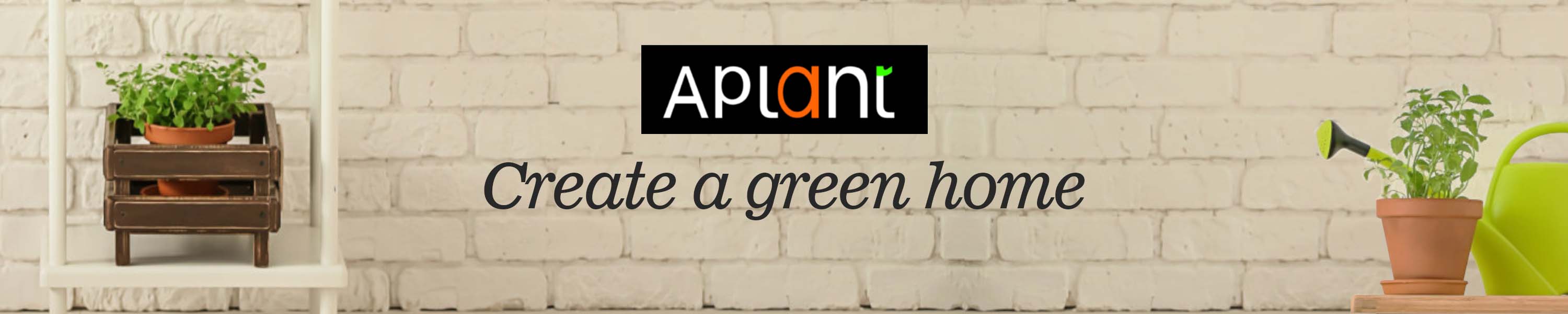 Amazon.com: APLANT
